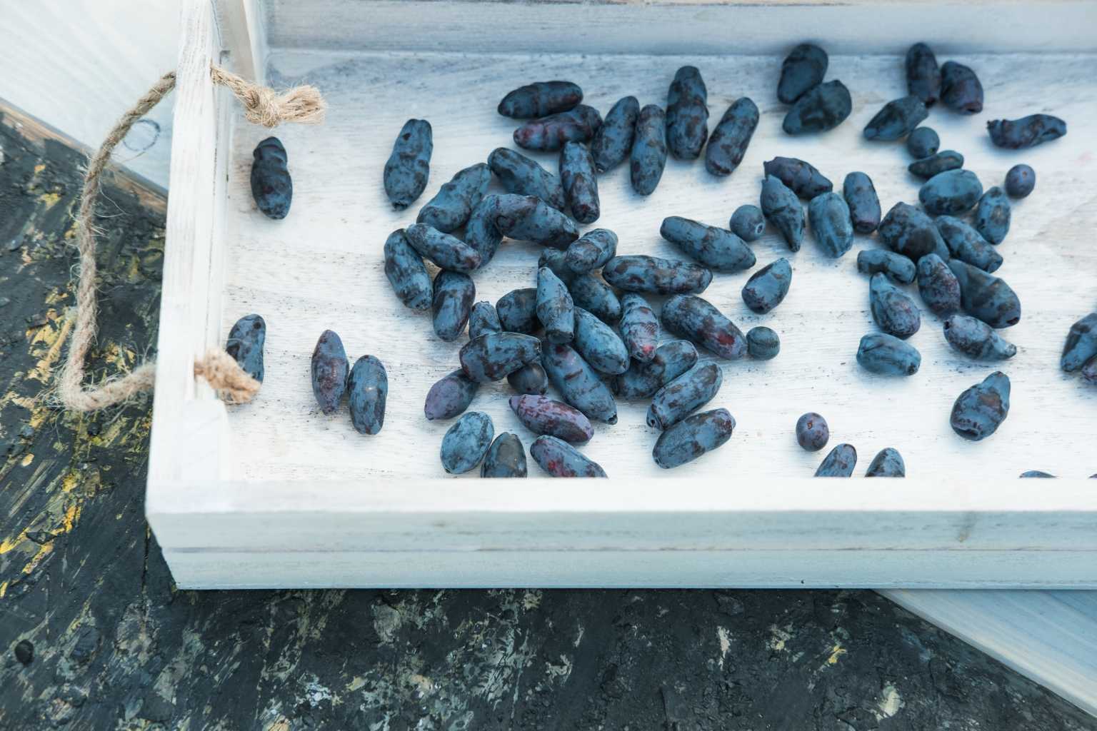 14 leckere Beerensorten, die im Garten nicht fehlen dürfen